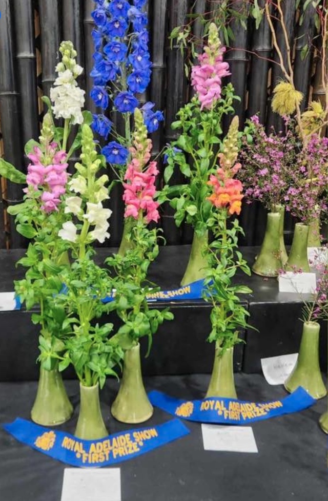 Blooming show success for Two Wells family | Two Wells & Districts Echo
